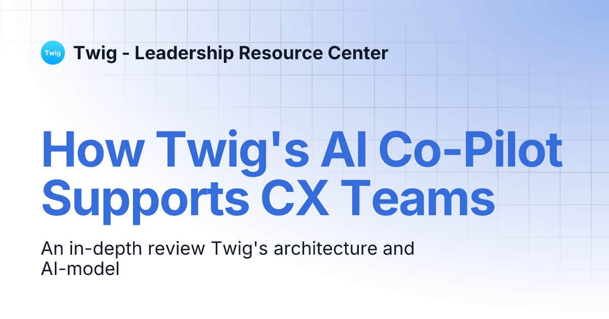 How Twig's AI Co-Pilot Supports CX Teams | Twig - Leadership Resource ...